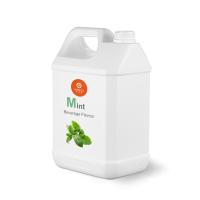 China Mint Flavor Liquid Peppermint Mentha Flavour For Beverage Icy Refreshing Cool Taste for sale