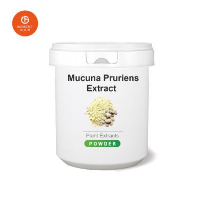 China Discover the Potent Effects of 4 1 Mucuna Pruriens Extract for Your Health for sale