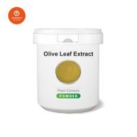 China Relieve Arrhythmias and Prevent Artery Hardening with Olive Leaf Extract Hydroxytyrosol for sale