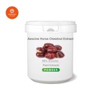China Hot Selling Horse Chestnut Extract Aescine Escin 98% for sale