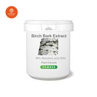 China Natural Pure Supplement Birch Bark Extract 98% Betulinic for sale