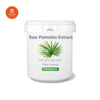 China Natural 45% Saw Palmetto Extract White Powder Plant Extract Health Food Herbal Extract Food Additive for sale