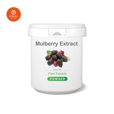 China Cheap Manufacturer Supply Mulberry Extract For Skin Care for sale