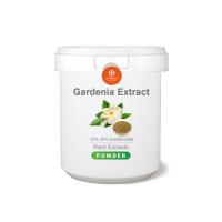 China Food Colorants Gardenia Extract Gardenia Yellow for sale