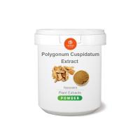 China 100% Natural Polygonum Cuspidatum Extract 98% Resveratrol Free Samples for sale