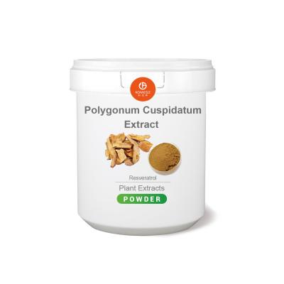 China 100% Natural Polygonum Cuspidatum Extract 98% Resveratrol Free Samples for sale