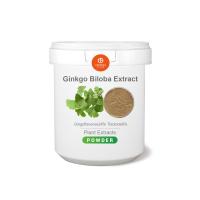 China Ginkgo Biloba Extract 24% Total Flavones 6% Terpene Lactones for sale