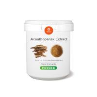 China Factory Supply Pure Natural Acanthopanax Senticosus Extract 10/ 1 For Anti-Fatigue for sale