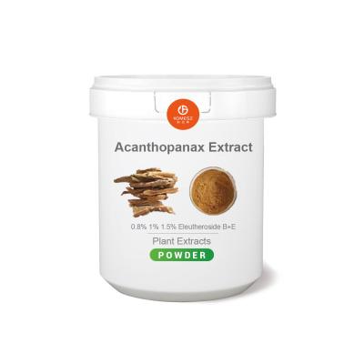China Factory Supply Pure Natural Acanthopanax Senticosus Extract 10/ 1 For Anti-Fatigue for sale