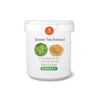 China Factory Supply EGCG Green Tea Extract With 98 Polyphenols for sale