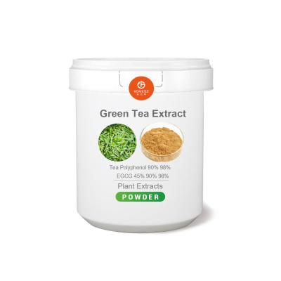 China Factory Supply EGCG Green Tea Extract With 98 Polyphenols for sale
