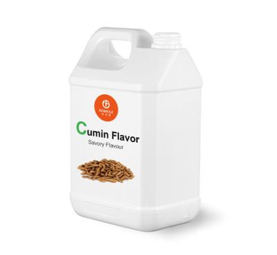 China Cumin Flavor KMZ---2170093 Cumin Flavor For Food Flavouring for sale