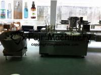China 380V 2KW Capping Filling Machine Beverage Stand Up Pouch Sealing 4500B/H for sale