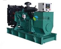 China 1500/1800rpm Speed CUMMINS Diesel Engine Power Generator with Low Noise Level for sale