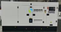 China Continuous Power CUMMINS Diesel Engine Power Generator With Electric Starting System for sale