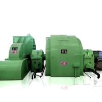 China High Efficiency Pelton Water Wheel Generator 400V 600V 800V 11KV 13.8KV for sale