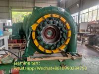 China 6-10kV Pelton Type Turbine Generator with 100-1000A Rated Current for sale