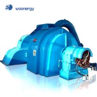 China Head Impulse Turbine Generator IP54 Protection Grade 6-10kV Rated Voltage Cast Iron/Stainless Steel for sale
