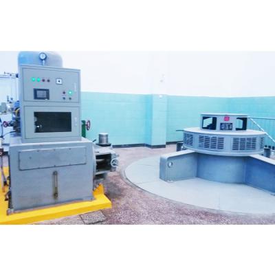 China High Power 100-20MW 50-60Hz Water Powered Turbine Generator 220-11000V 5-30m Head for sale