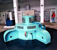 China High Power 100-20MW 50-60Hz Water Powered Turbine Generator 220-11000V 5-30m Head for sale