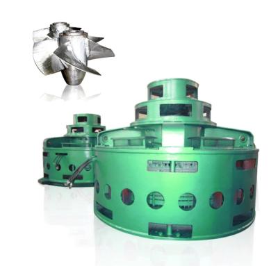 China Custom Color Stainless Steel Water Powered Turbine Generator 5-30m Rated Head 220-11000V for sale