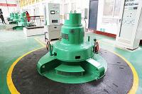 China Brushless Water Turbine Generator 200kw-20mw 220V-690V 50Hz/60Hz Automatic Control for sale