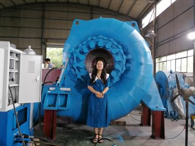 China Customized Color Versatile Water Turbine Generator for Varied Power Needs for sale