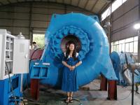 China Automatic / Manual 450-1000RPM Water Turbine Generator With Air / Water Cooling for sale