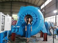 China Automatic / Manual Water Turbine Generator With 450-1000RPM Rated Voltage for sale