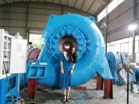 China 300-3000rpm Brushless Excitation Mode Outdoor Water Turbine Generator for sale
