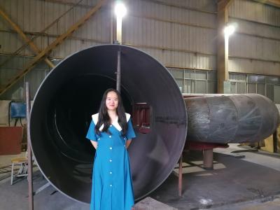 China Brushless 50Hz/60Hz Water Turbine Generator With Rated Voltage 220V-690V for sale