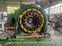 China 50Hz/60Hz Frequency Water Turbine Generator for Eco-Friendly Hydroelectric Power Production for sale