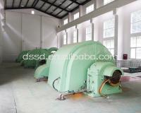 China Pelton Wheel Micro Hydro Generator / Small Water Turbine In Hydro Power Plant for sale