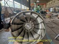 China Customized High Head Water Turbine with Speed 250-1000rpm/min Optimal Energy Generation for sale