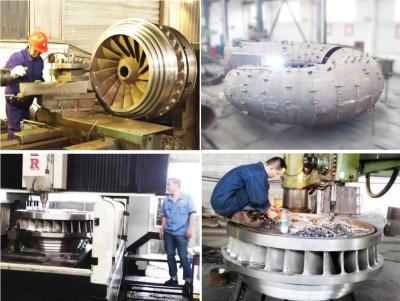 China Brushless Or Static Excitation System Hydro Turbine Runner Offering Oem Flexibility and Inlet Pressure 10 MPa Optimized for Hydropower Systems for sale