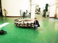 China Vertical Installation Method Hydro Turbine Runner with Inlet Pressure of 10 MPa Hardened Metals Material Capabilities for sale