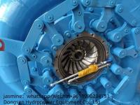 China 450-1000 RPM Francis Turbine Generator with Microcomputer Governor and IP54 Protection for Hydropower Plants for sale