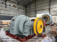China IP54 Protection Level Francis Turbine Generator with Horizontal or Vertical Layout and 30~50 Years Lifespan for Renewable Energy Solutions for sale