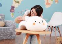 China Customized Popular Plush Toys , Soft Toy Pillow With Raccoon Panda Shape for sale