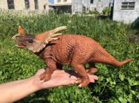 China L30*W10*H14 Walking Triceratops Toy / Plastic Triceratops Dinosaur Toy for sale