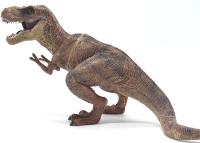 China HRQ Dinosaur Model Toys Tyrannosaurus Rex Model With Plastic Cement Material for sale