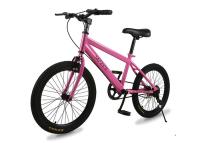 China Single Color Kids 20 Inch Mountain Bike / Student Mountain Bike With Plastic Pedal for sale
