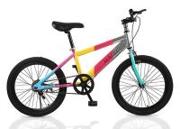 China Single Color Kids 20 Inch Mountain Bike / Student Mountain Bike With Plastic Pedal for sale
