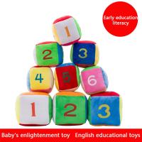 China Preschool Education Baby Learning Toys Square Color Digital Plush Sieve 20cm Diameter for sale