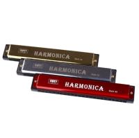 China Polyphonic Beginner 17cm 24 Hole Harmonica Entry Toy Children Adult Student Practice for sale