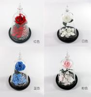 China Beauty Everlasting Eternal Rose Flower 28cm High 7cm Rose Head For Christmas Gift for sale