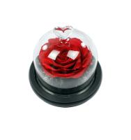 China 15cm Real Preserved Eternal Rose Flower Natural Everlasting Flower In Glass for sale