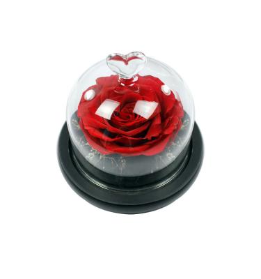 China 15cm Real Preserved Eternal Rose Flower Natural Everlasting Flower In Glass for sale