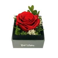 China Everlasting Eternal Rose Flower Preserved Beauty Gift For Girlfriend Or Wife for sale