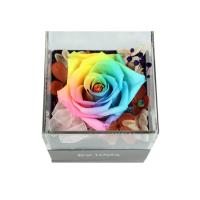 China Everlasting Eternal Rose Flower Preserved Beauty Gift For Girlfriend Or Wife for sale